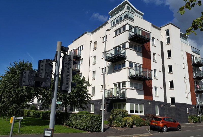 Common types of render and how to care for them properly