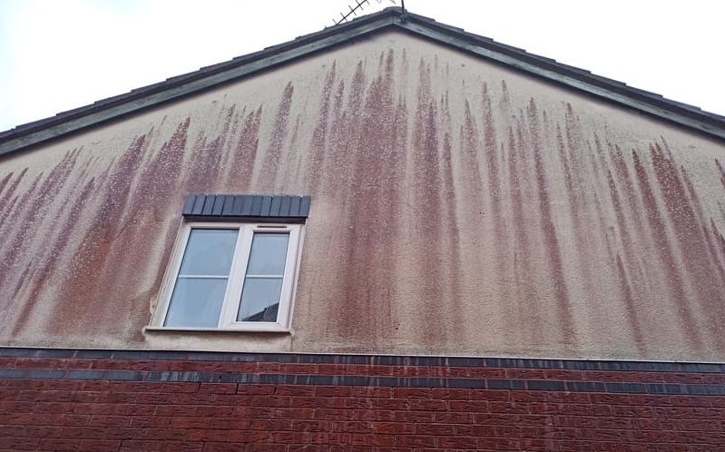 Black Stains on Render - How to Remove them?